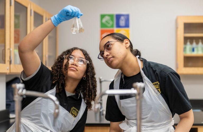 What Is STEAM Education and Why Is It Important for Your Child’s Future ...